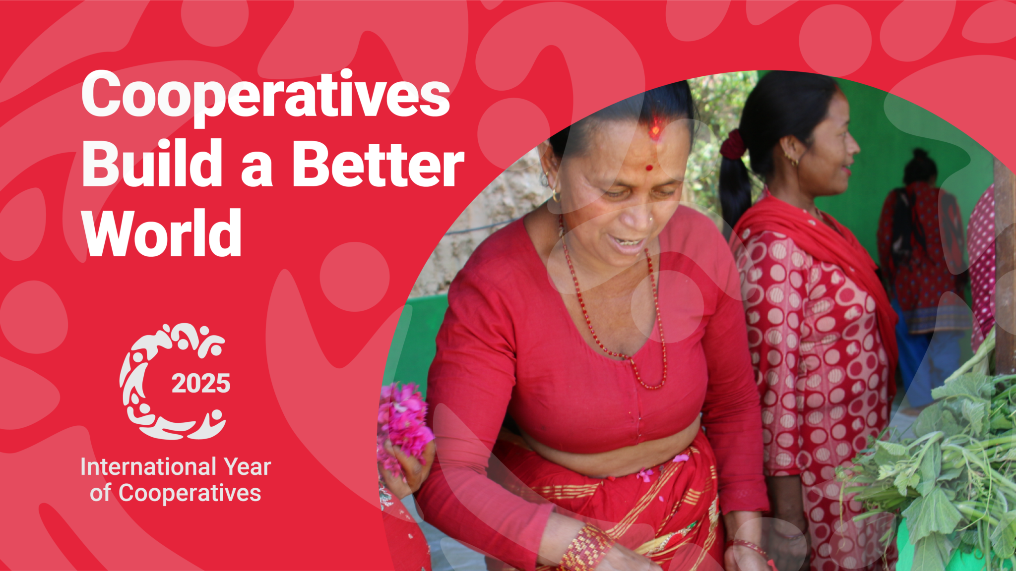 International Year of Cooperatives 2025: How financial cooperatives ...